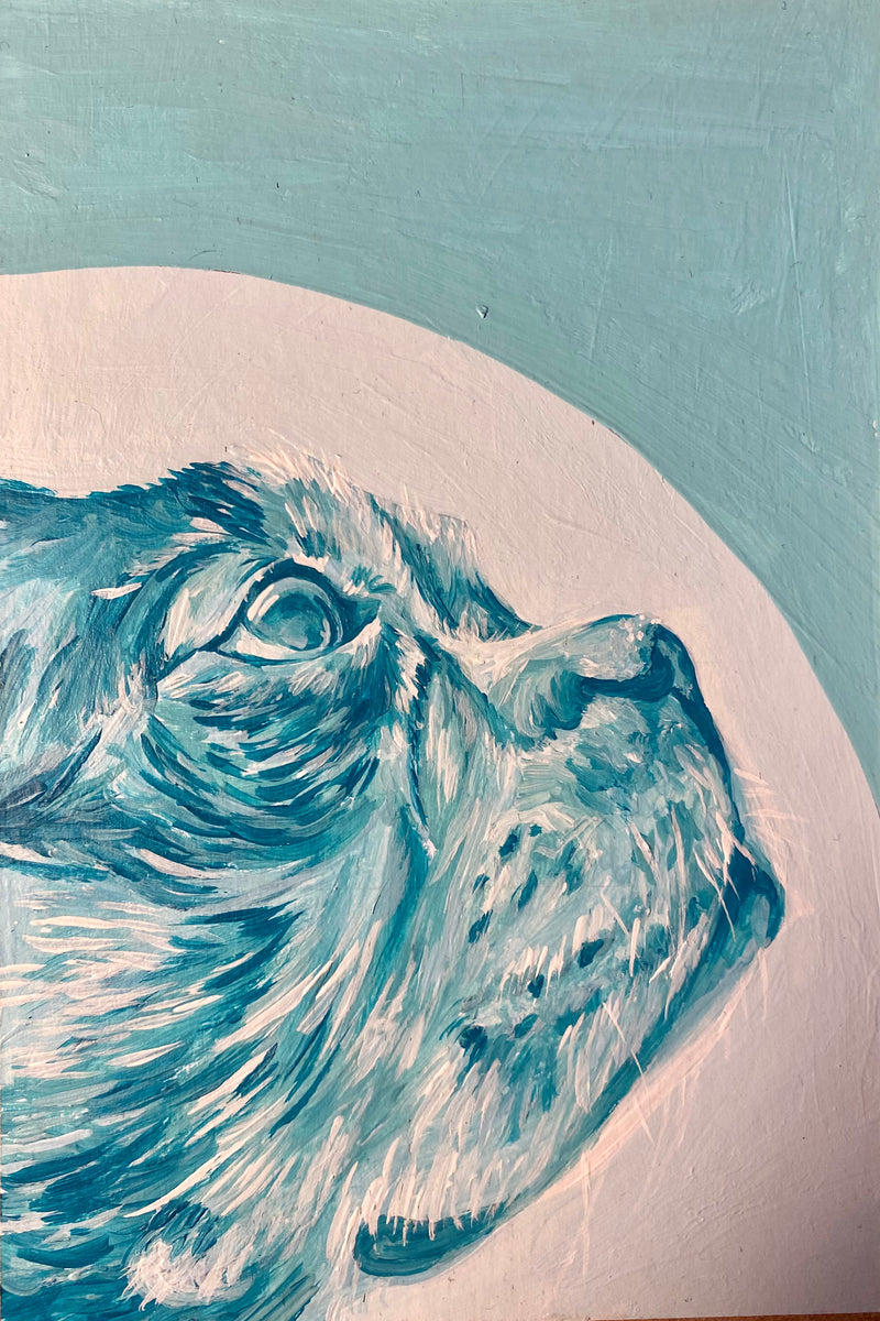 Brandi Thomas • What’s so amazing, that keeps us stargazing ...