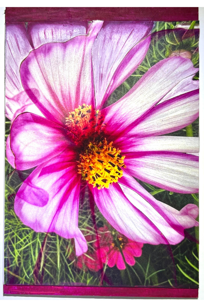 Courtney Goldsmith • In Bloom – Brassworks Gallery