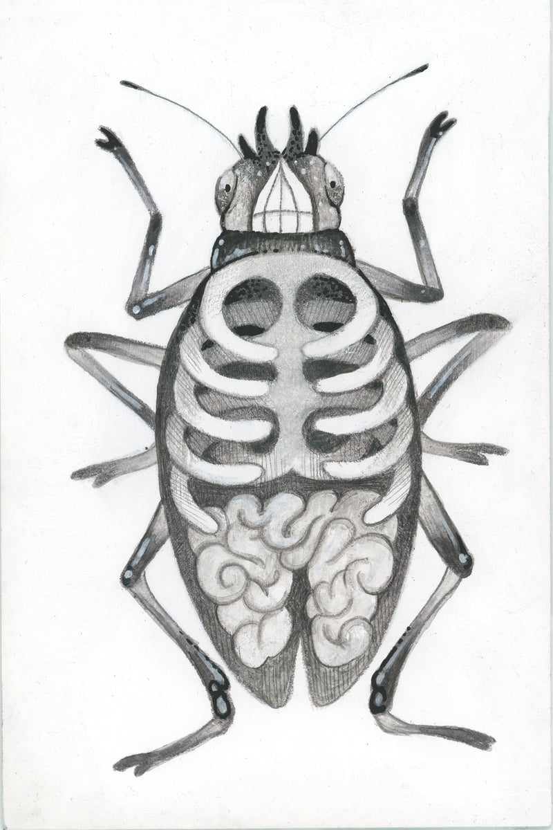 Demian Anderson • BugBug – Brassworks Gallery