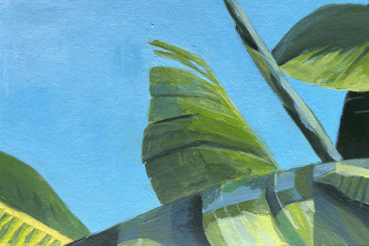 Gillian Hunt • BananaPlantInDaylight2 – Brassworks Gallery