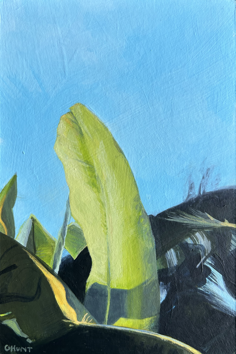 Gillian Hunt • BananaPlantInDaylight3 – Brassworks Gallery