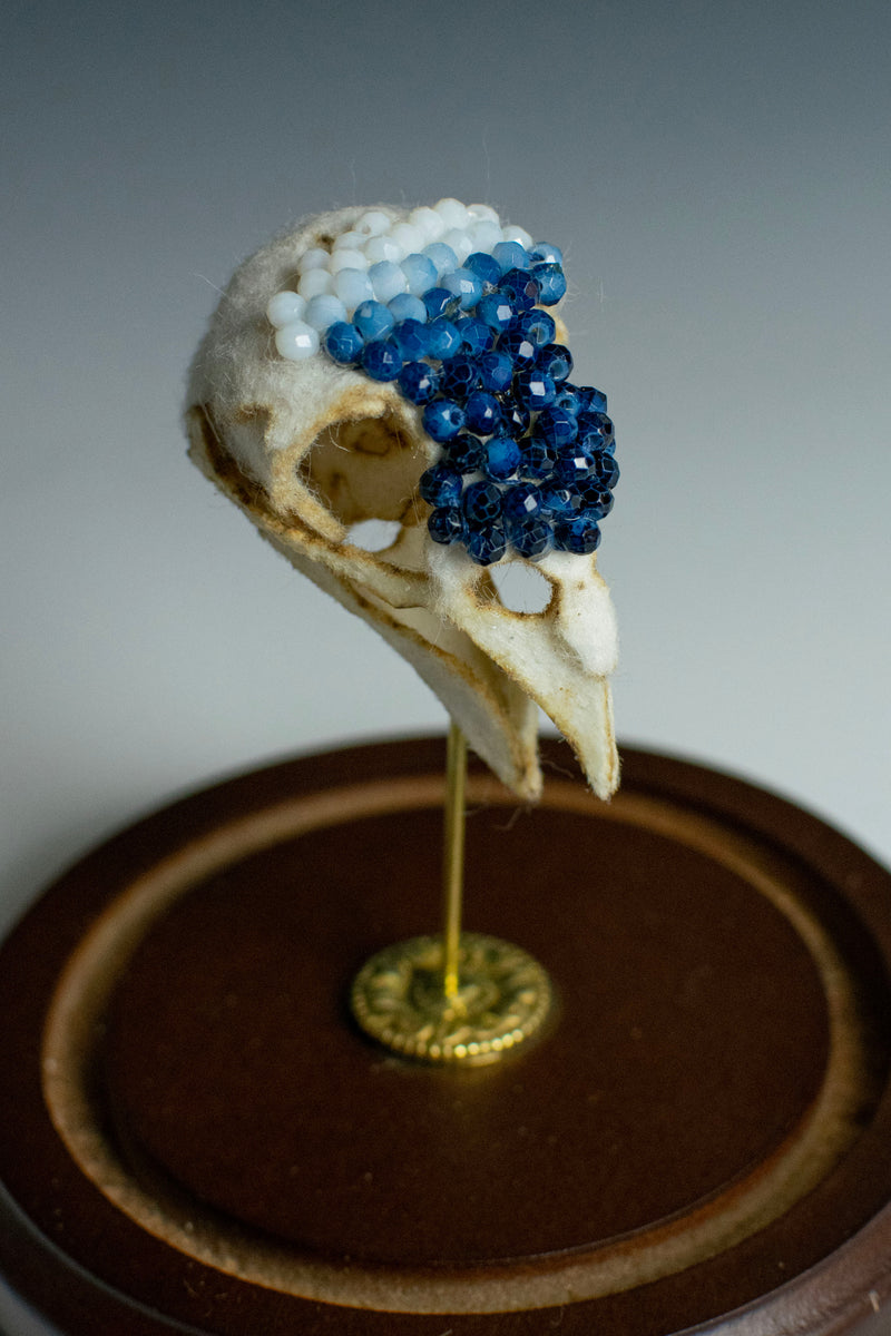 Ombre Finch • Lana Crooks – Brassworks Gallery