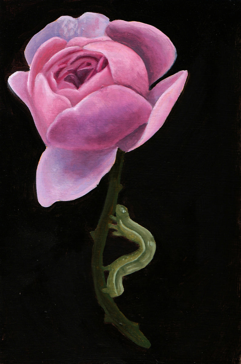 Gina Barnes • Rose and Caterpillar – Brassworks Gallery
