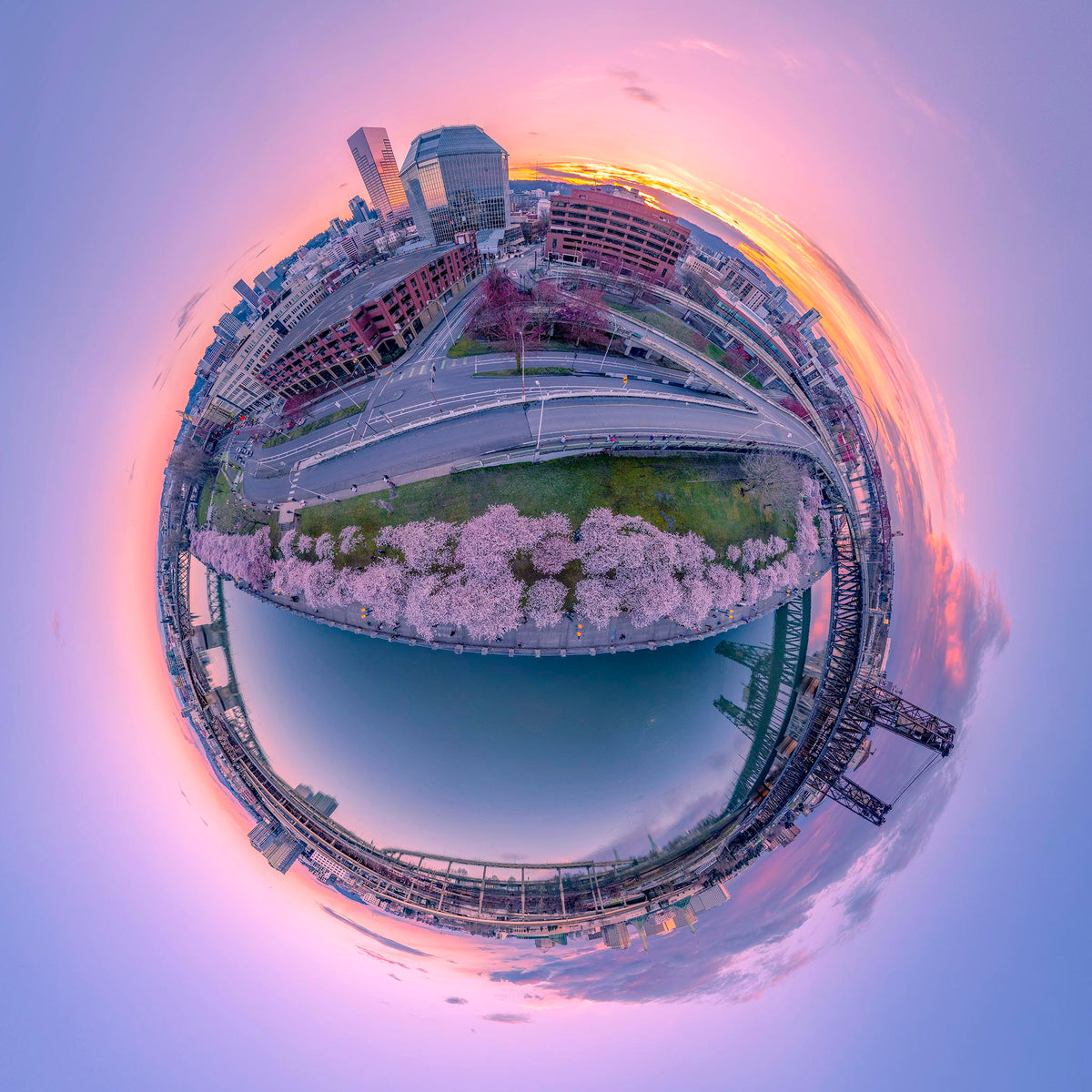 Tom McCall Waterfront Bloom • Joel Conroy – Brassworks Gallery