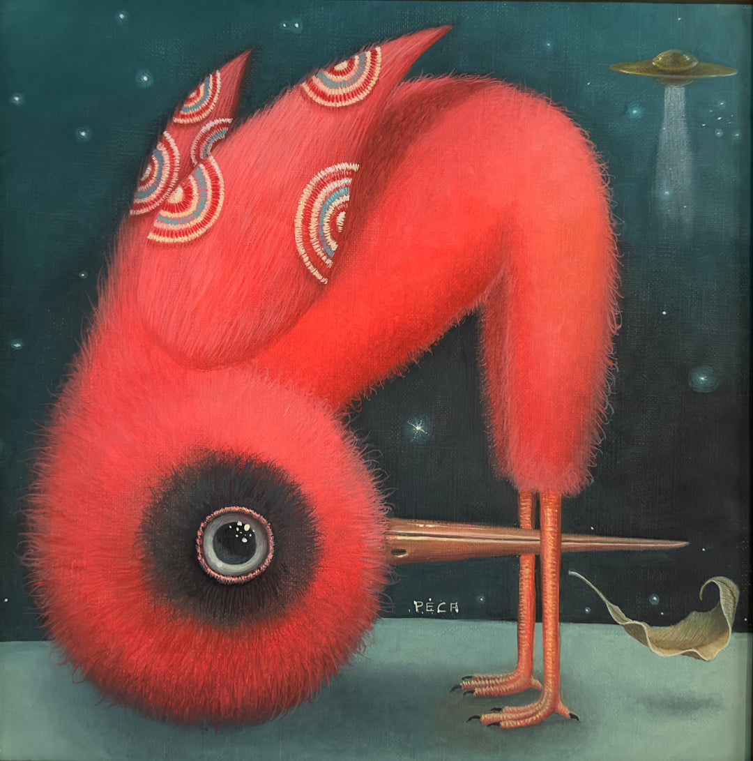 PECA • While The Universe Expands – Brassworks Gallery